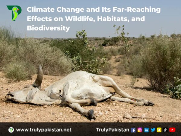 Climate Change And Its Far-Reaching Effects On Wildlife, Habitats, And ...