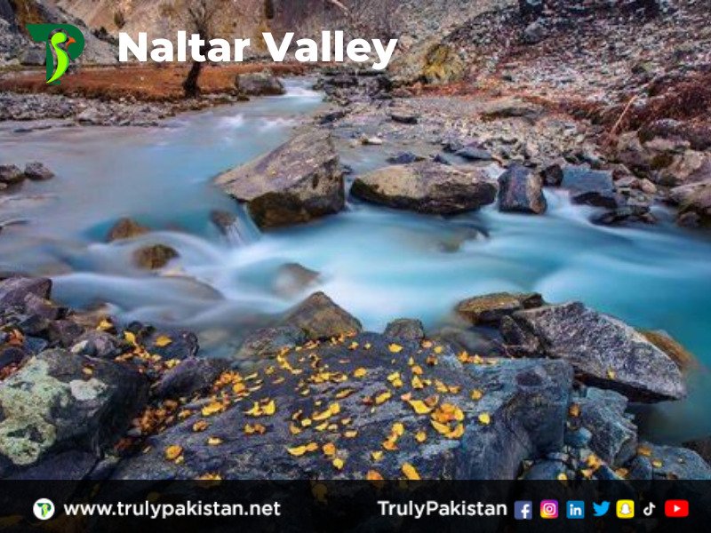 Naltar Valley » TrulyPakistan | Explore, Discover & Experience Pakistan