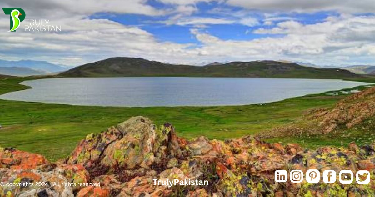 Discover Deosai National Park – The Land Of Giants » TrulyPakistan ...