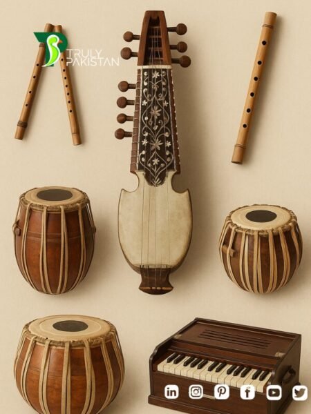 Traditional Musical Instruments Of Pakistan: Origins & Cultural Legacy