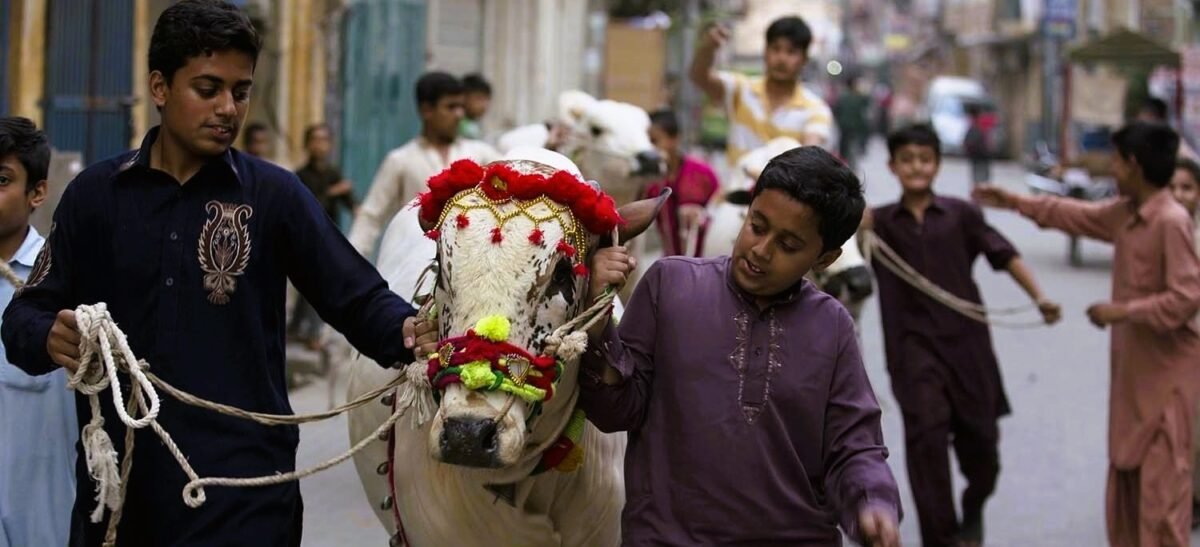 11 Key Characteristics Of Pakistani Culture In 2025 | Diverse & Rich ...