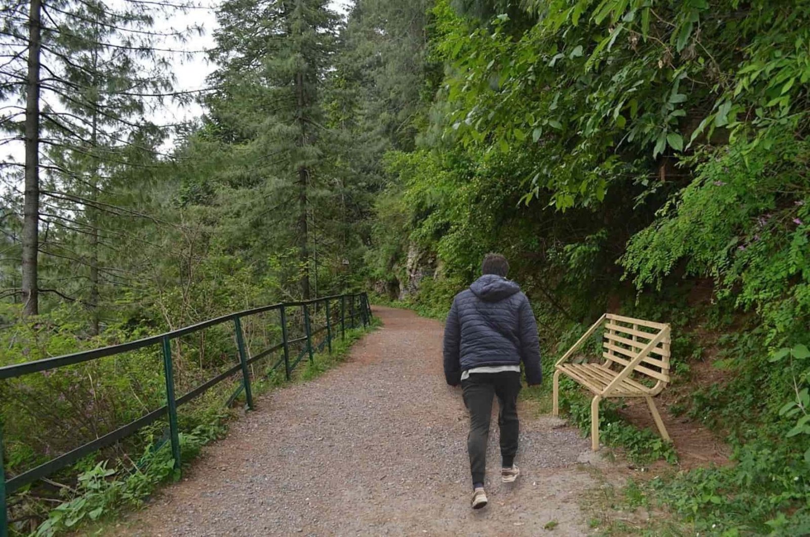 Pipeline Track Nathia Gali: Complete Guide With 7 Highlights