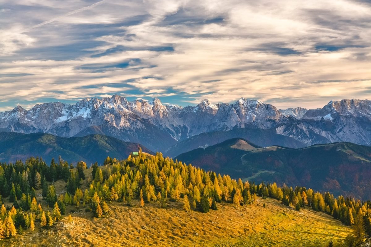 Alpine Forests In Pakistan: Biodiversity & Conservation