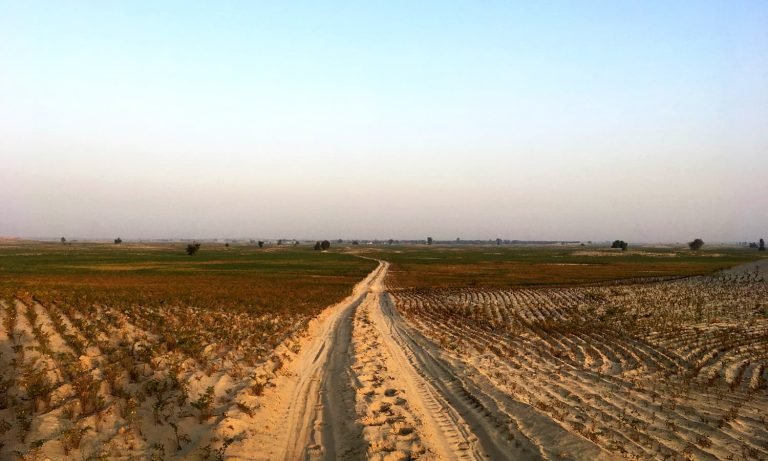 Largest Desert Of Pakistan: Thar & Other Deserts Explained